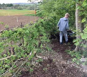 Home | Chellington Centre